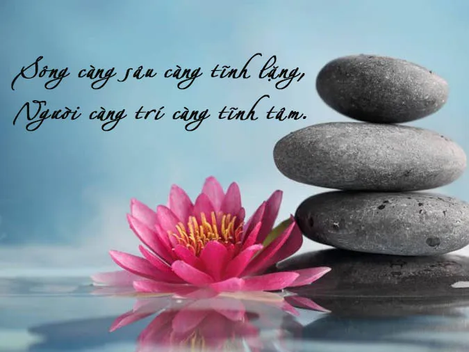 Ý nghĩa câu nói “Sông sâu tĩnh lặng lúa chín cúi đầu”