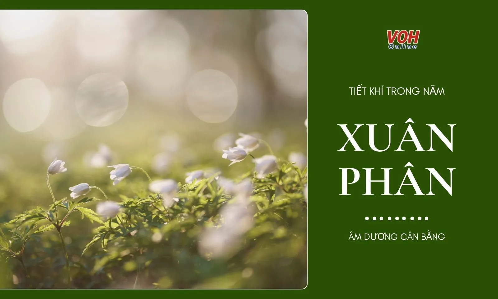 Xuân phân 2024 là ngày nào, có điều gì đặc biệt?