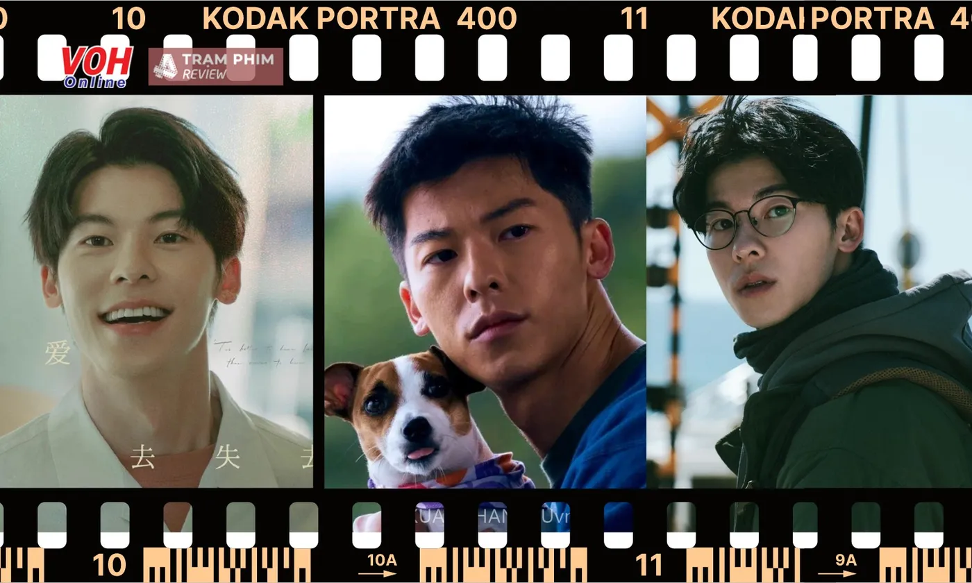 Hứa Quang Hán tiểu sử: Đời tư, sự nghiệp và những bộ phim hay nhất