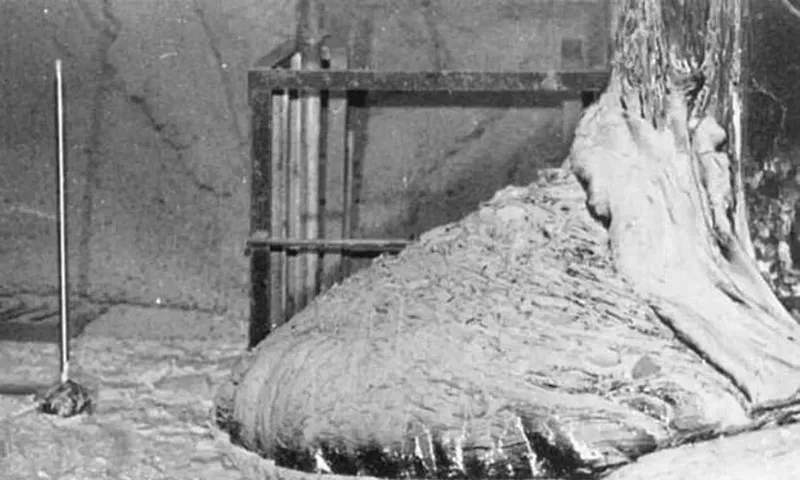 "Bàn chân voi" vật thể nguy hiểm nhất được sinh ra từ vụ nổ Chernobyl