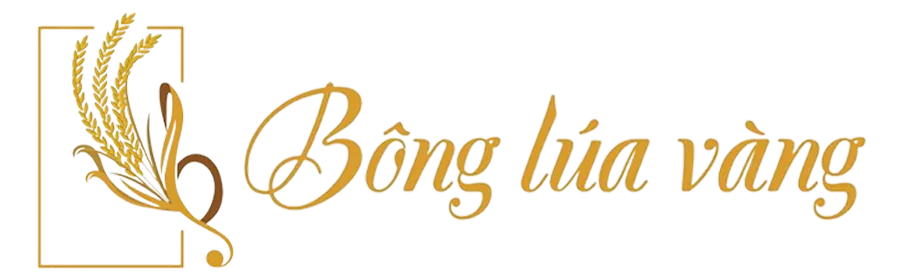 Bình chọn thí sinh được yêu thích nhất cuộc thi Bông Lúa Vàng 2024