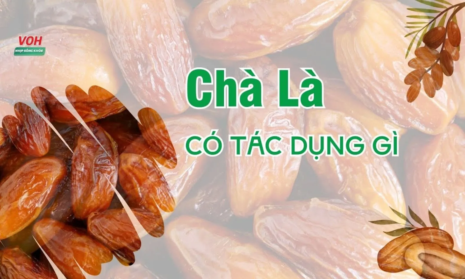 Quả chà là có công dụng gì? Đối tượng sử dụng chà là?