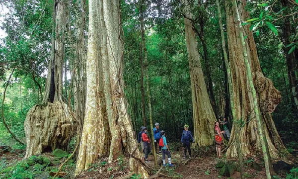 Vườn quốc gia Cát Tiên nhận 4 giải thưởng danh giá