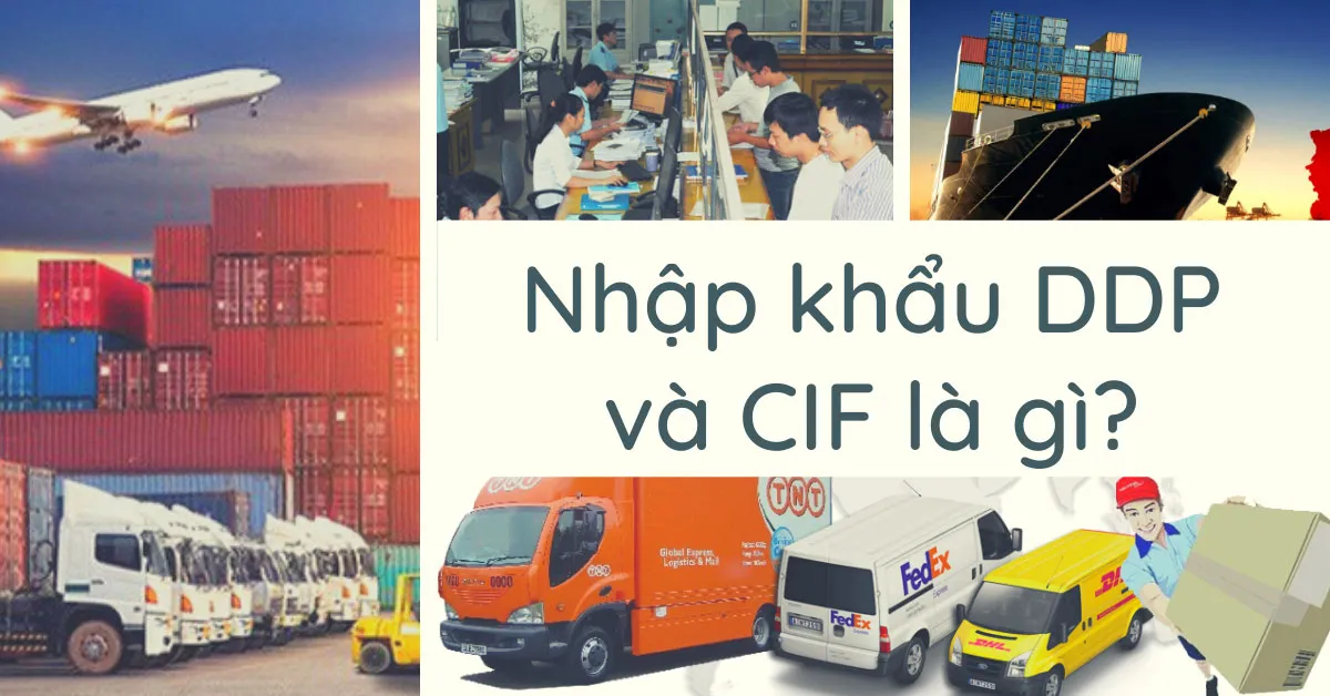 Nhập khẩu DDP và CIF là gì? Những điều bạn cần biết