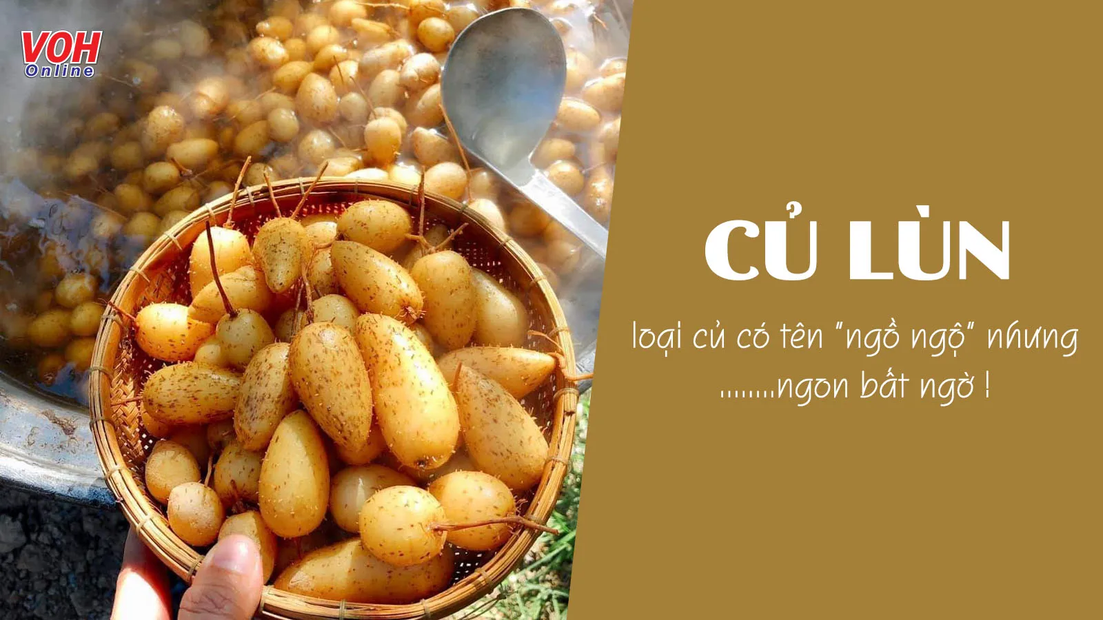 Ăn củ lùn luộc có tác dụng gì đối với sức khỏe