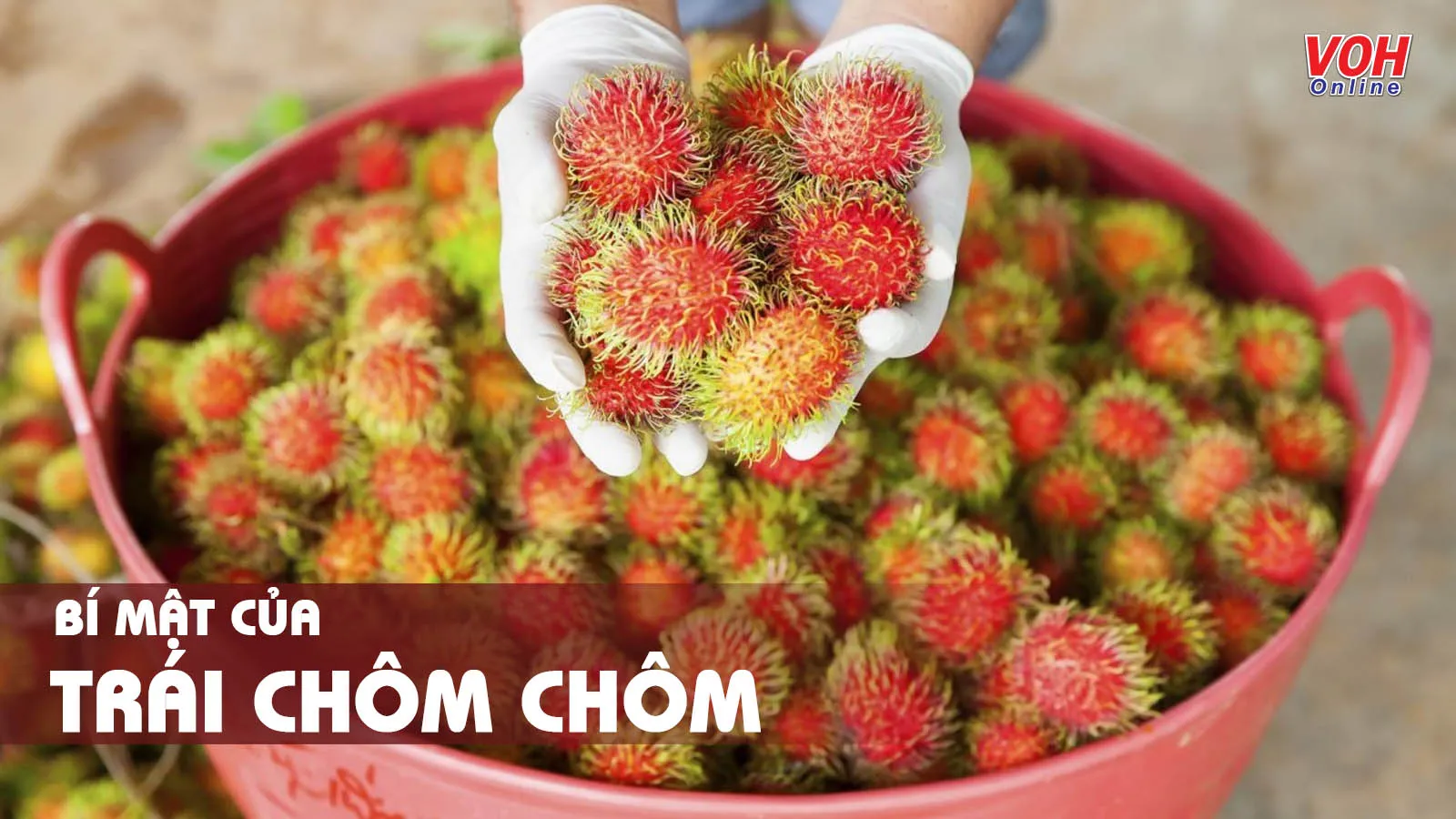 10 tác dụng của chôm chôm sẽ làm bạn sẽ bất ngờ