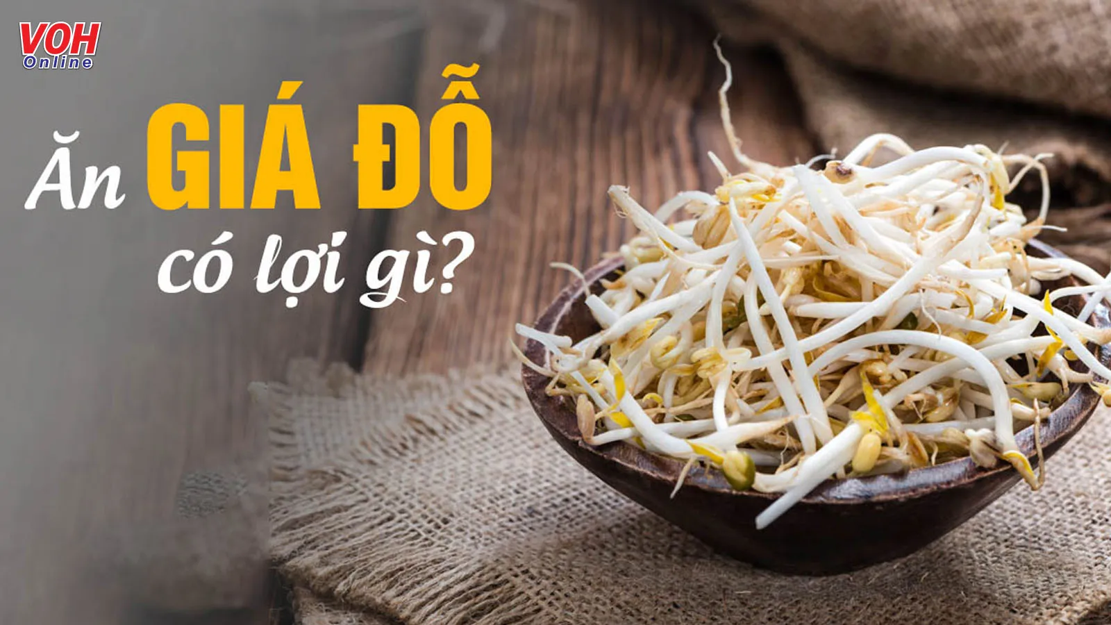 10 tác dụng của giá đỗ bạn đã biết hết chưa?