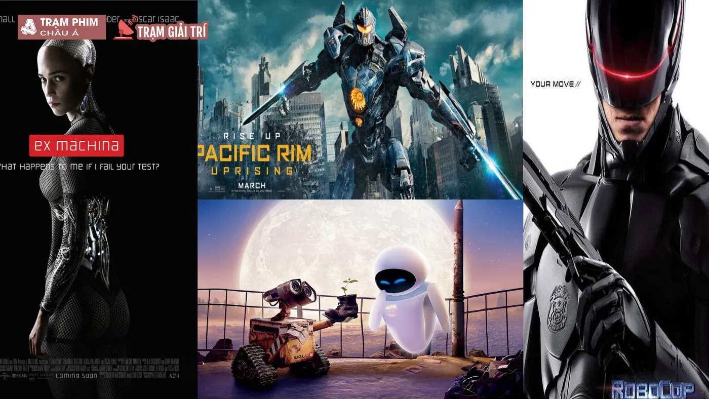 Top 15 phim bóng rổ hay - kịch tính trong từng phút thi đấu