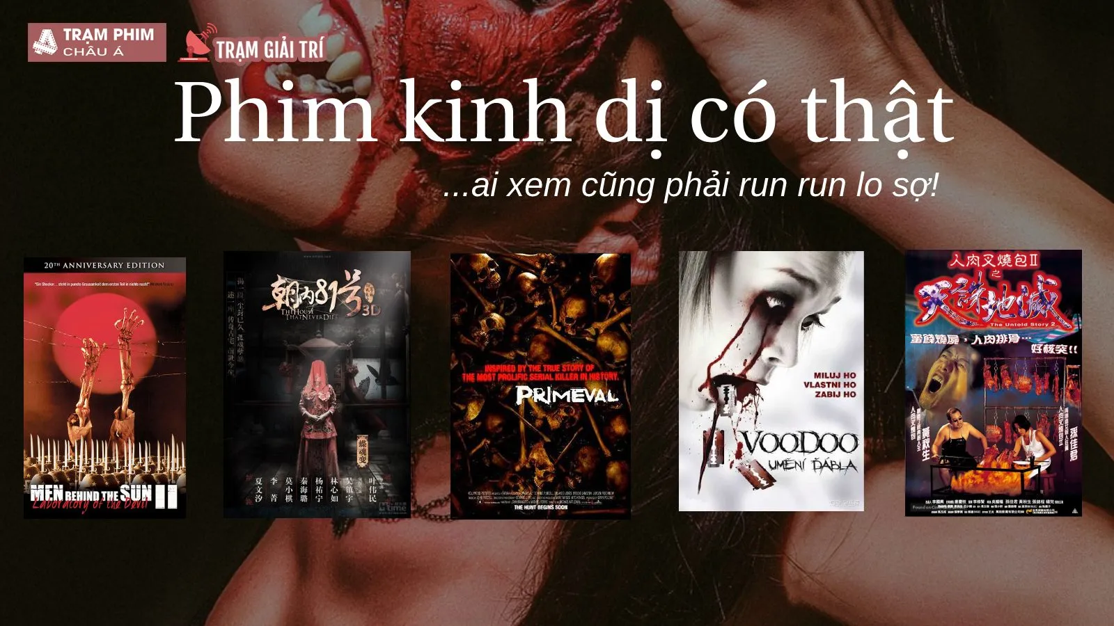 Top 40 Phim Ma Kinh Dị Hay Nhất Thế Giới