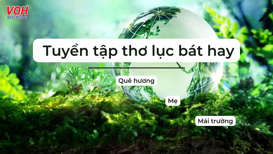 Những bài thơ lục bát ngắn hay nhất về quê hương, tình yêu, gia đình