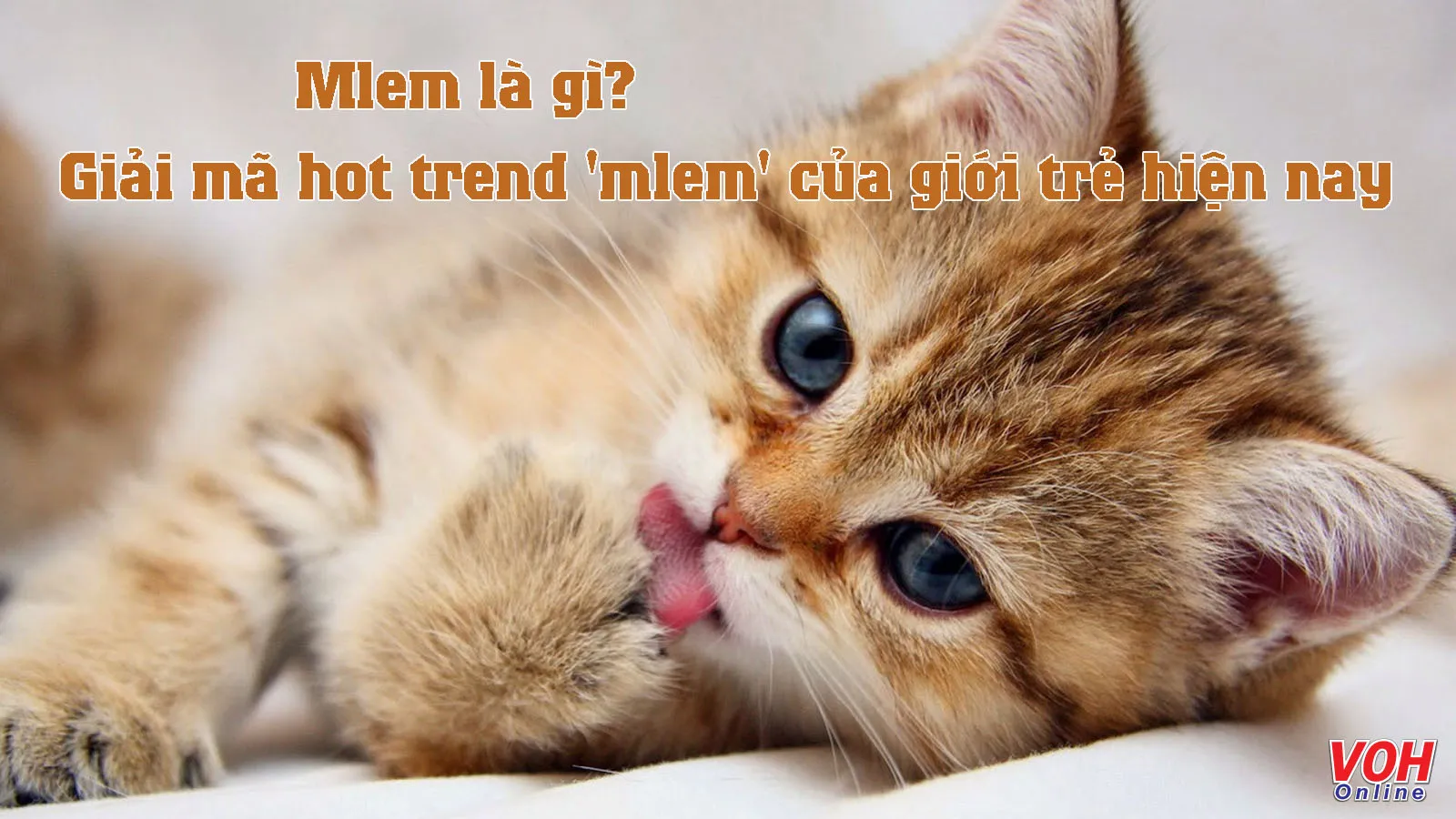 Mlem là gì? Giải mã hot trend 'mlem' của giới trẻ trên facebook hiện nay