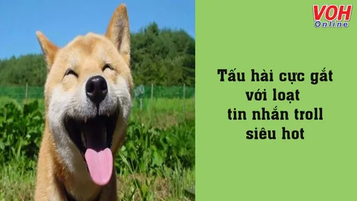 "Troll" là gì? Những câu Troll bá đạo và hài hước nhất