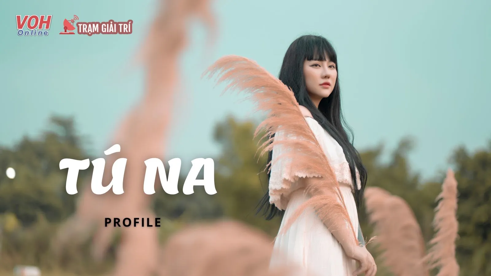 "Nữ hoàng cover" Tú Na là ai?