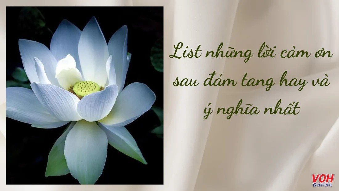 Mẫu phát biểu viếng đám tang, lời cảm tạ sau đám tang chân thành