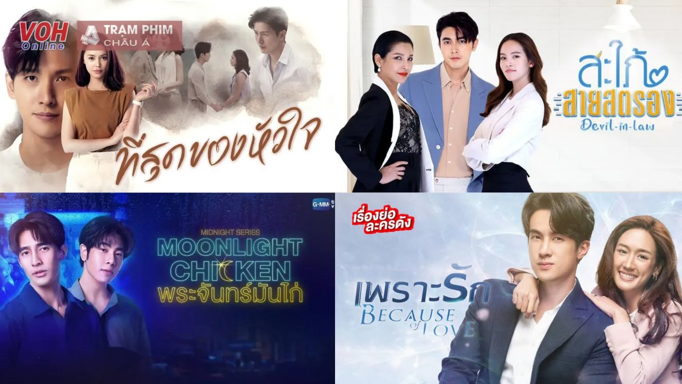 Top những bộ phim hay nhất của EARTHMIX