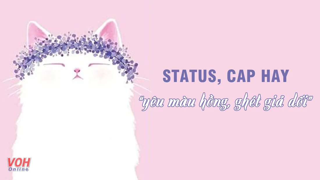 65 stt màu tím ấn tượng, thả thính vui nhộn