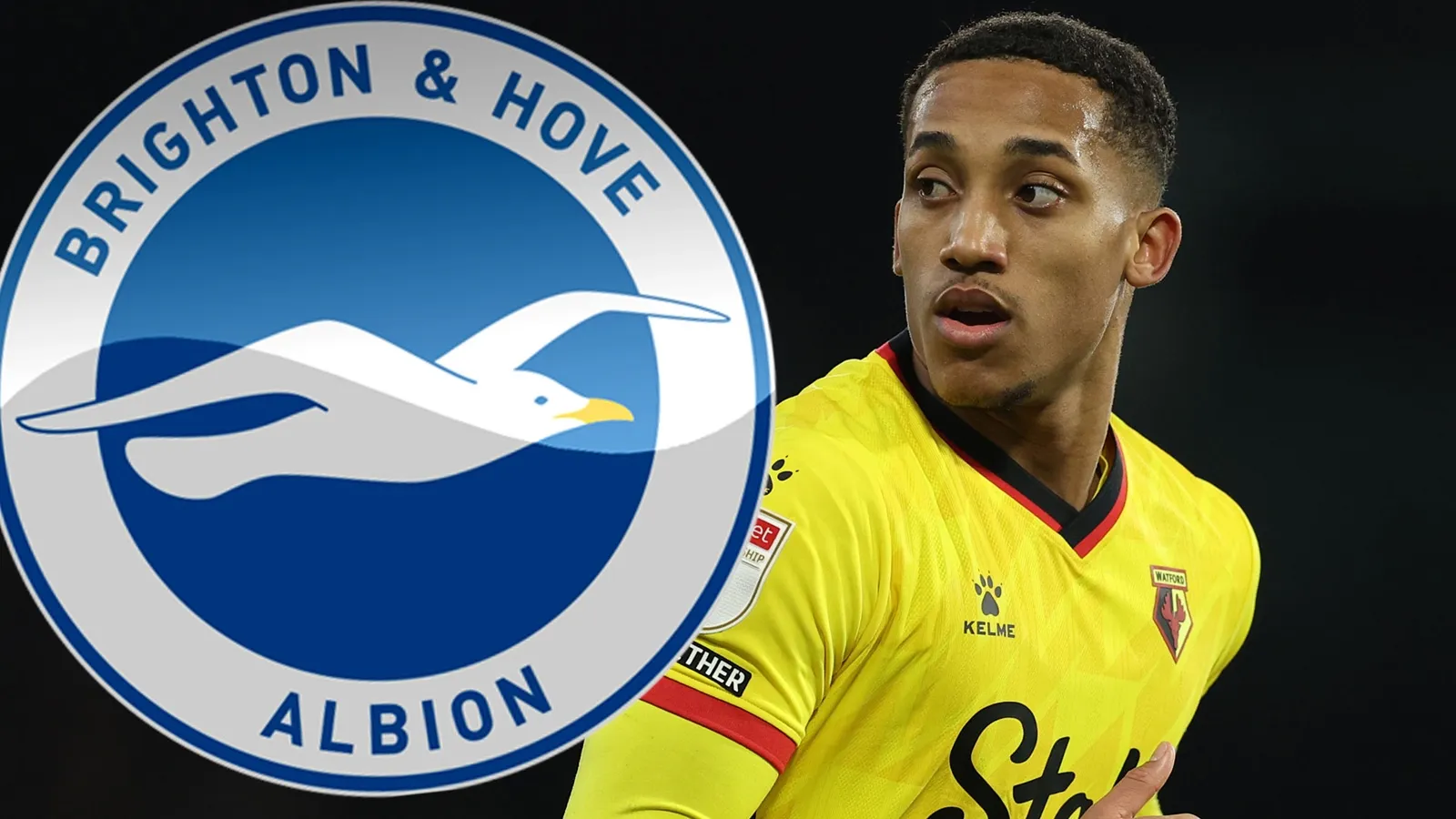 Brighton chi đậm mang về "siêu tiền đạo" người Brazil