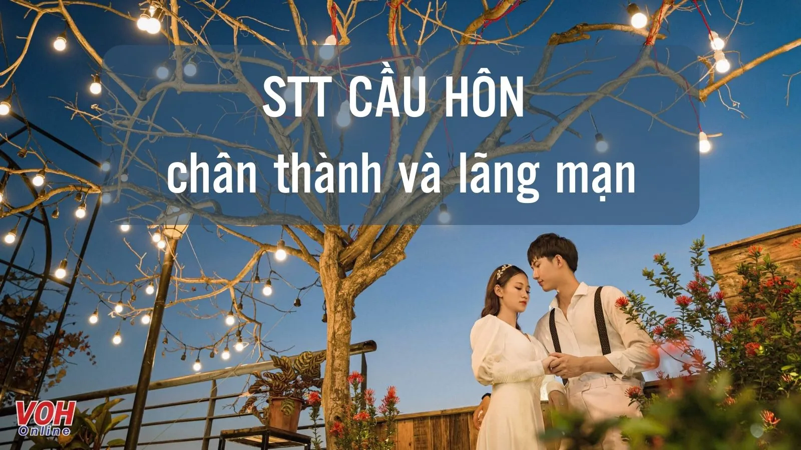 114 stt cầu hôn, những câu nói cầu hôn lãng mạn, chân thành nhất