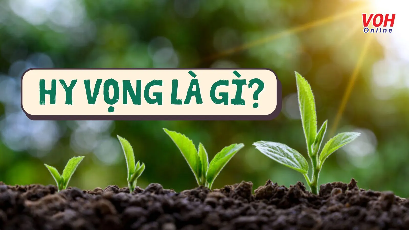 Hy vọng là gì mà được ví như “hạt giống” giúp cuộc đời “nở hoa”