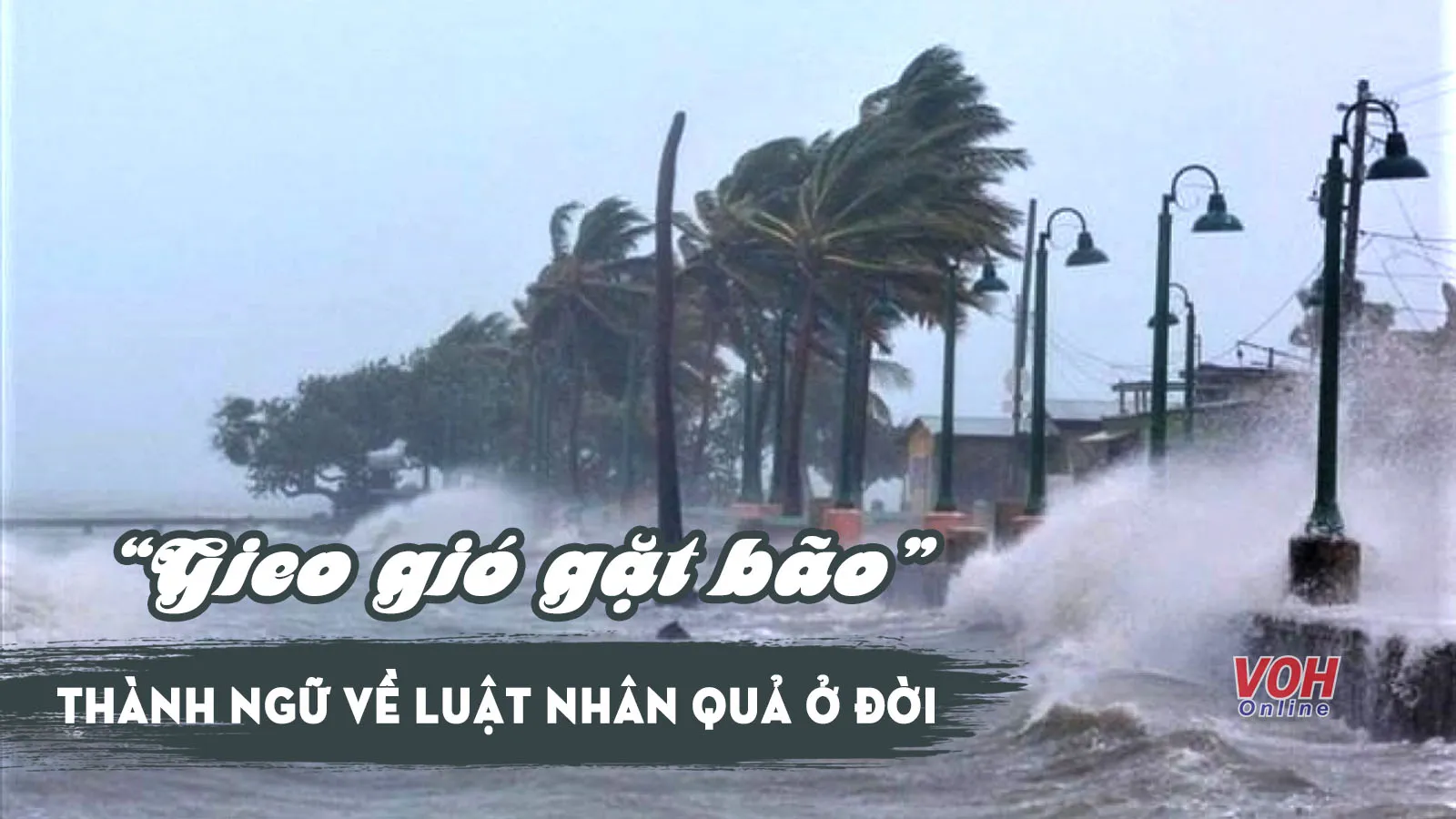 Giải thích ý nghĩa thành ngữ "Gieo gió gặt bão" trong cuộc sống